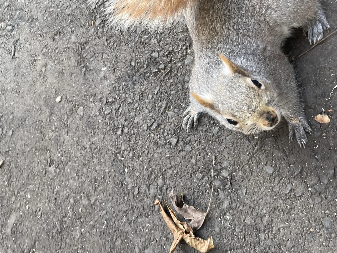 Vivian’s been digging! | Scrolller