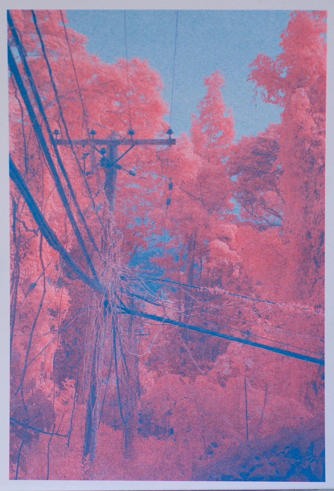 Overtake 3, Me, Photography/Risography, 2022 | Scrolller