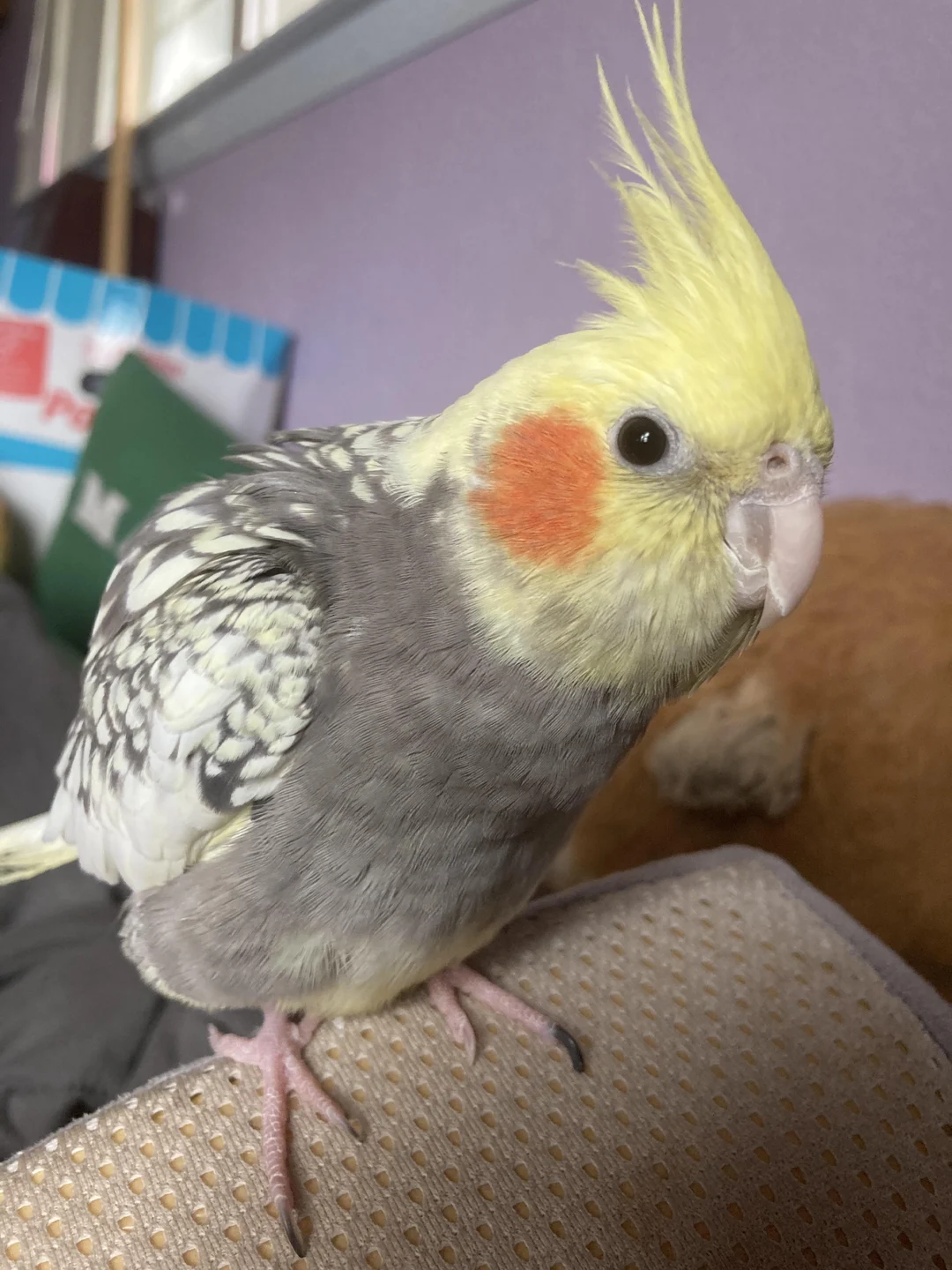 Goodbye. | Scrolller