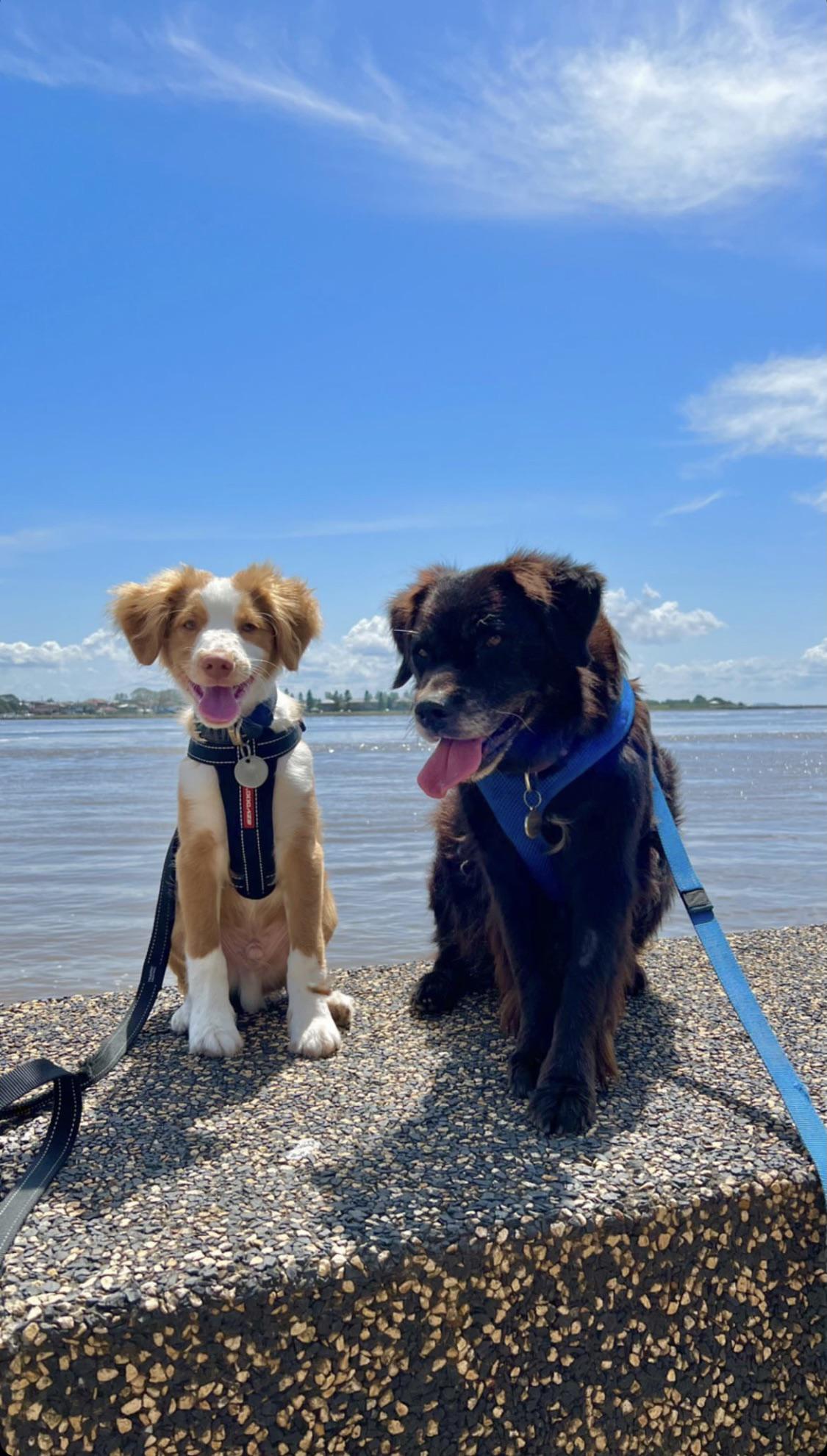 Bobby & Ebony | Scrolller