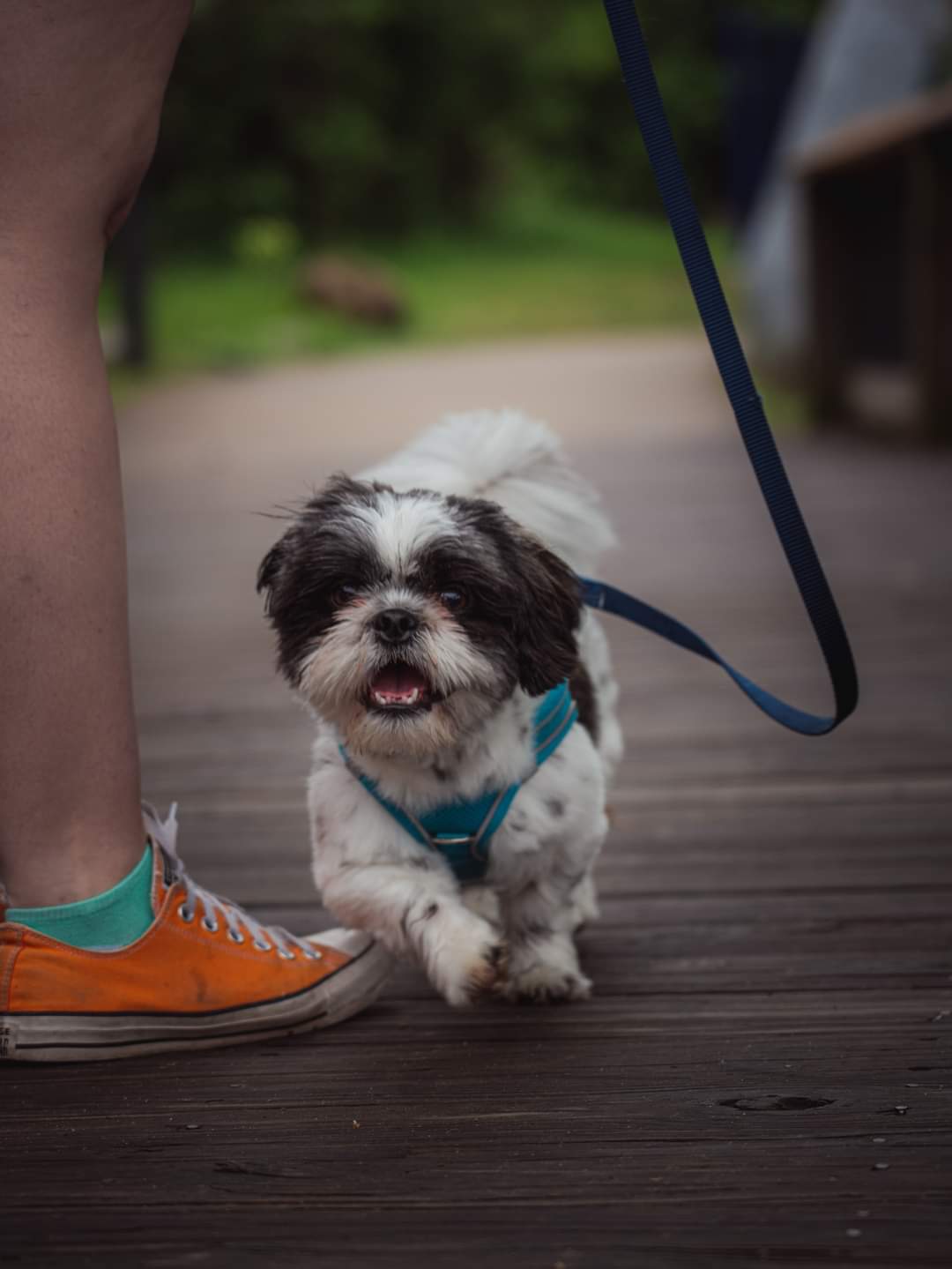 Walk Time Scrolller
