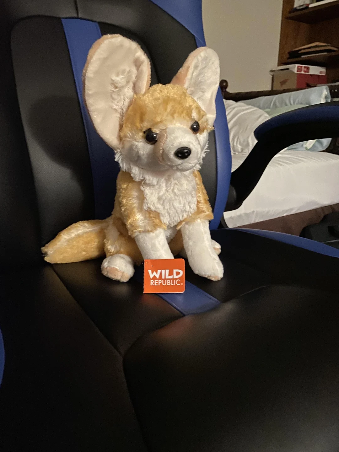 I got a fen plush for my bd! | Scrolller