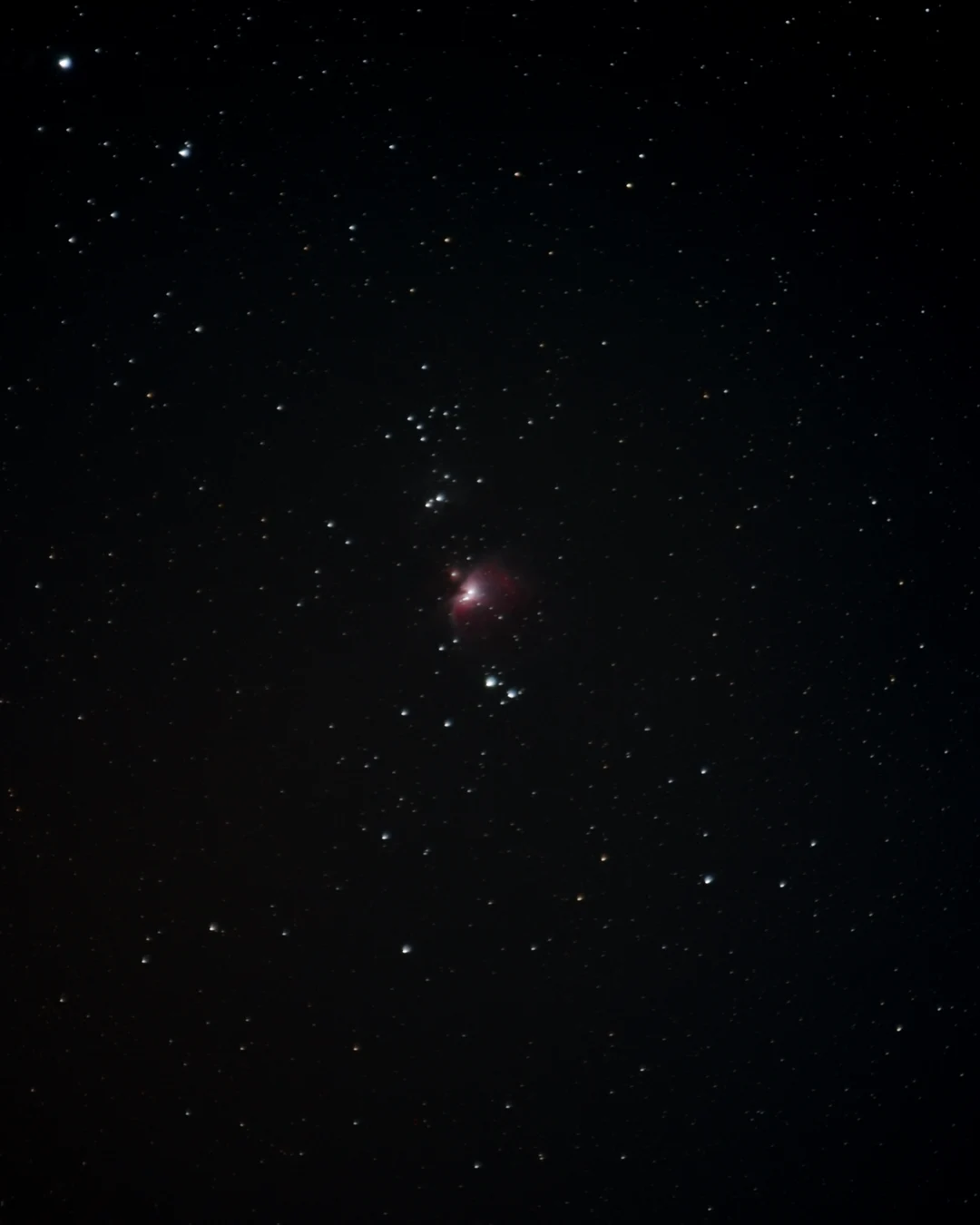 Orion Nebula from my backyard | Scrolller