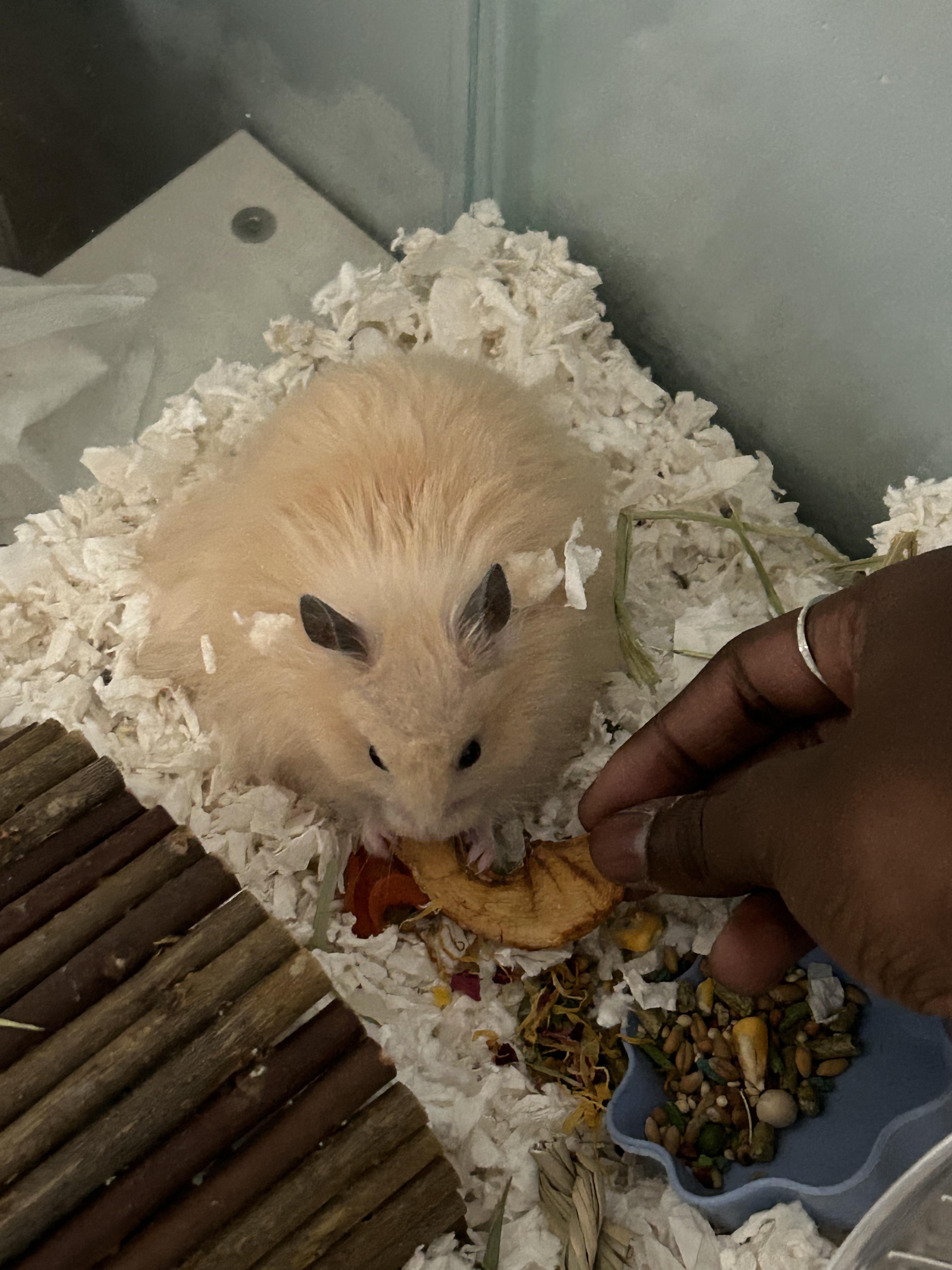 Bonding? | Scrolller