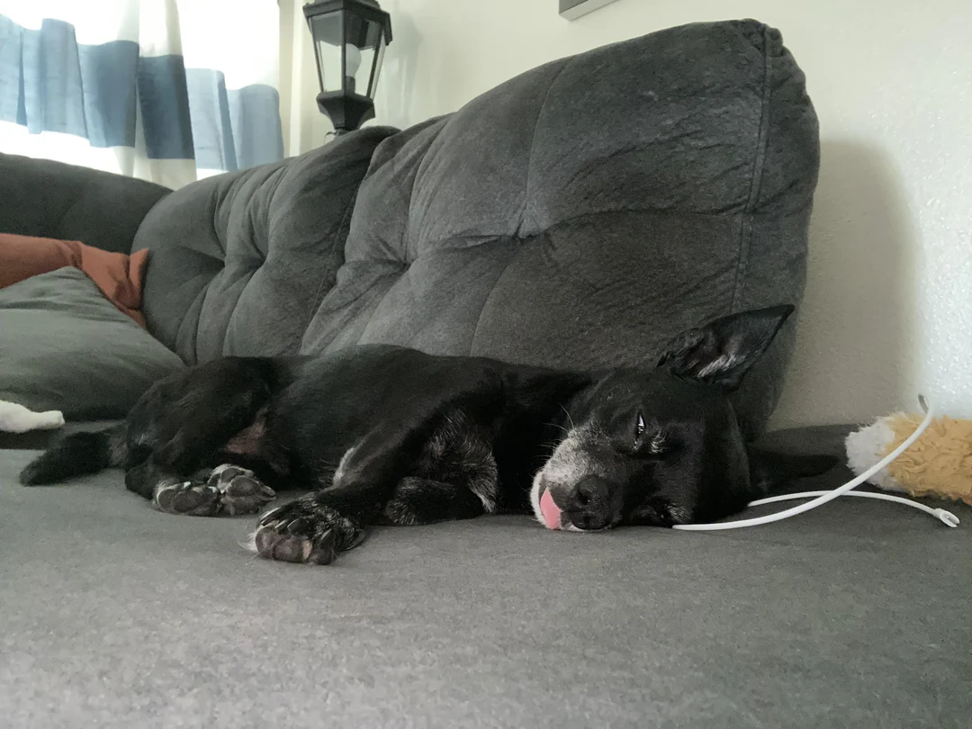 Dead Asleep Scrolller