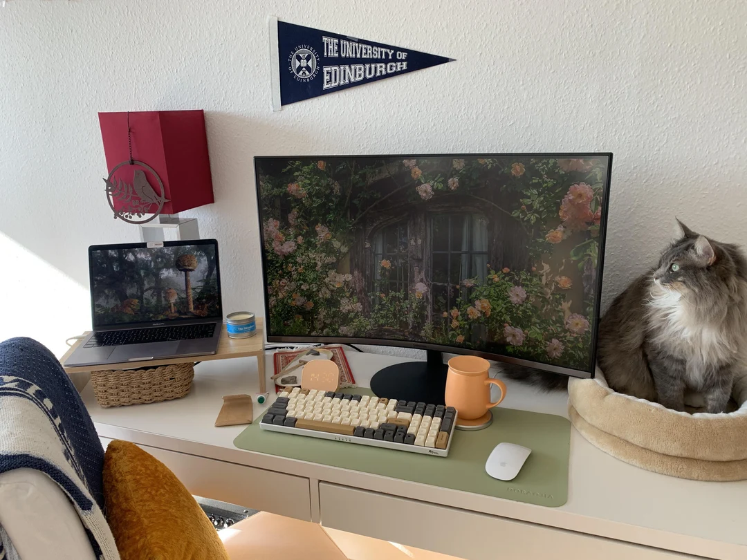 My cozy WFH desk space in France. 🥰🐱🐈‍⬛ | Scrolller