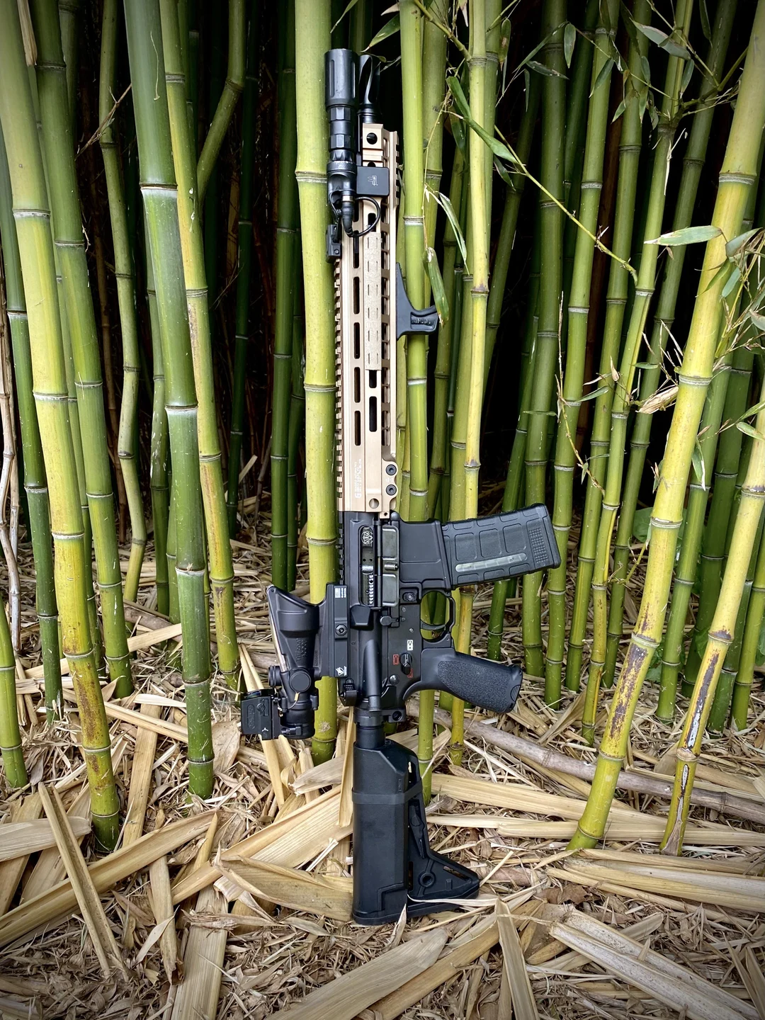 Wrong optic for the bamboo forest. | Scrolller
