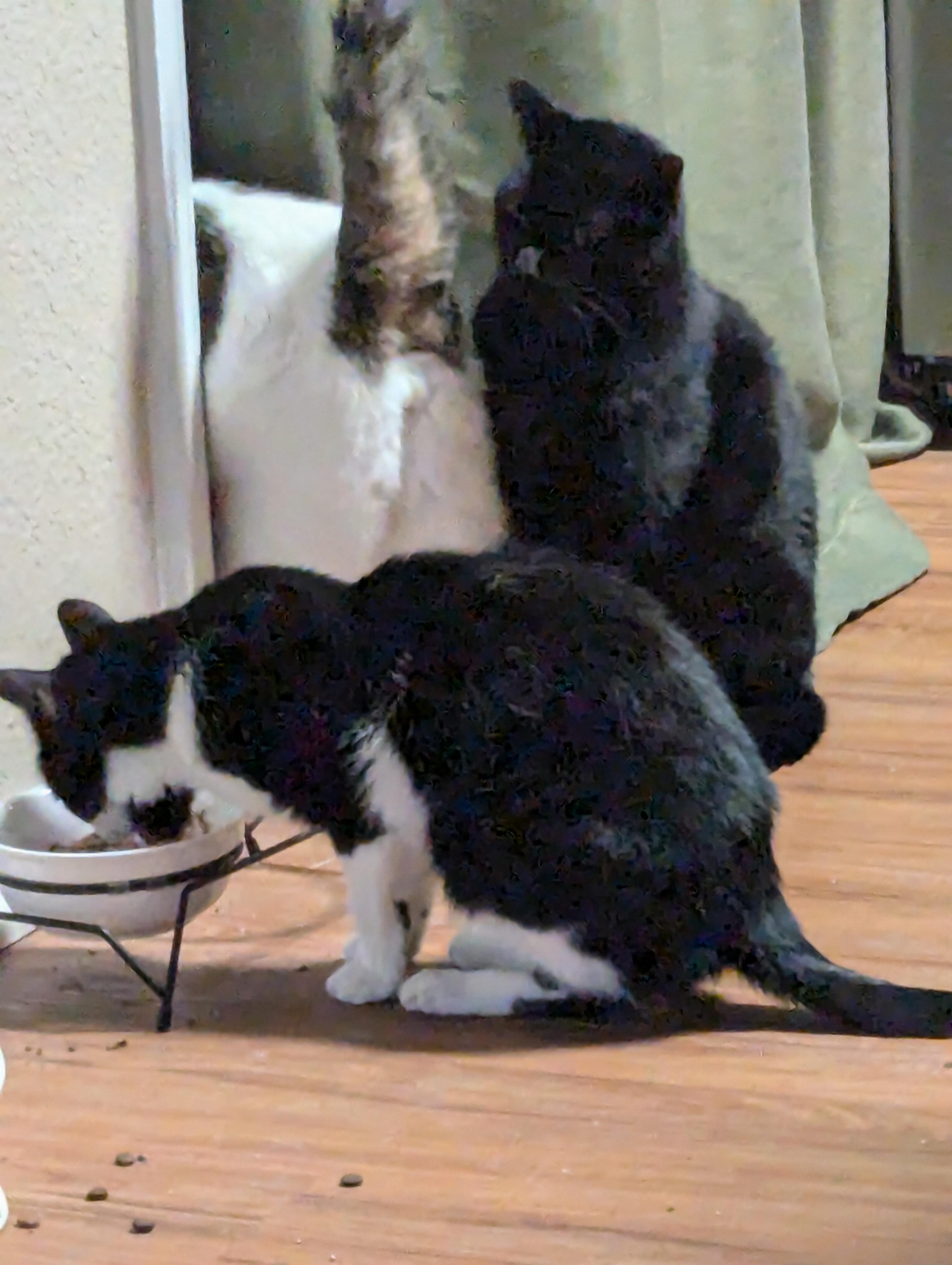 Very Rare Pic of All Three | Scrolller