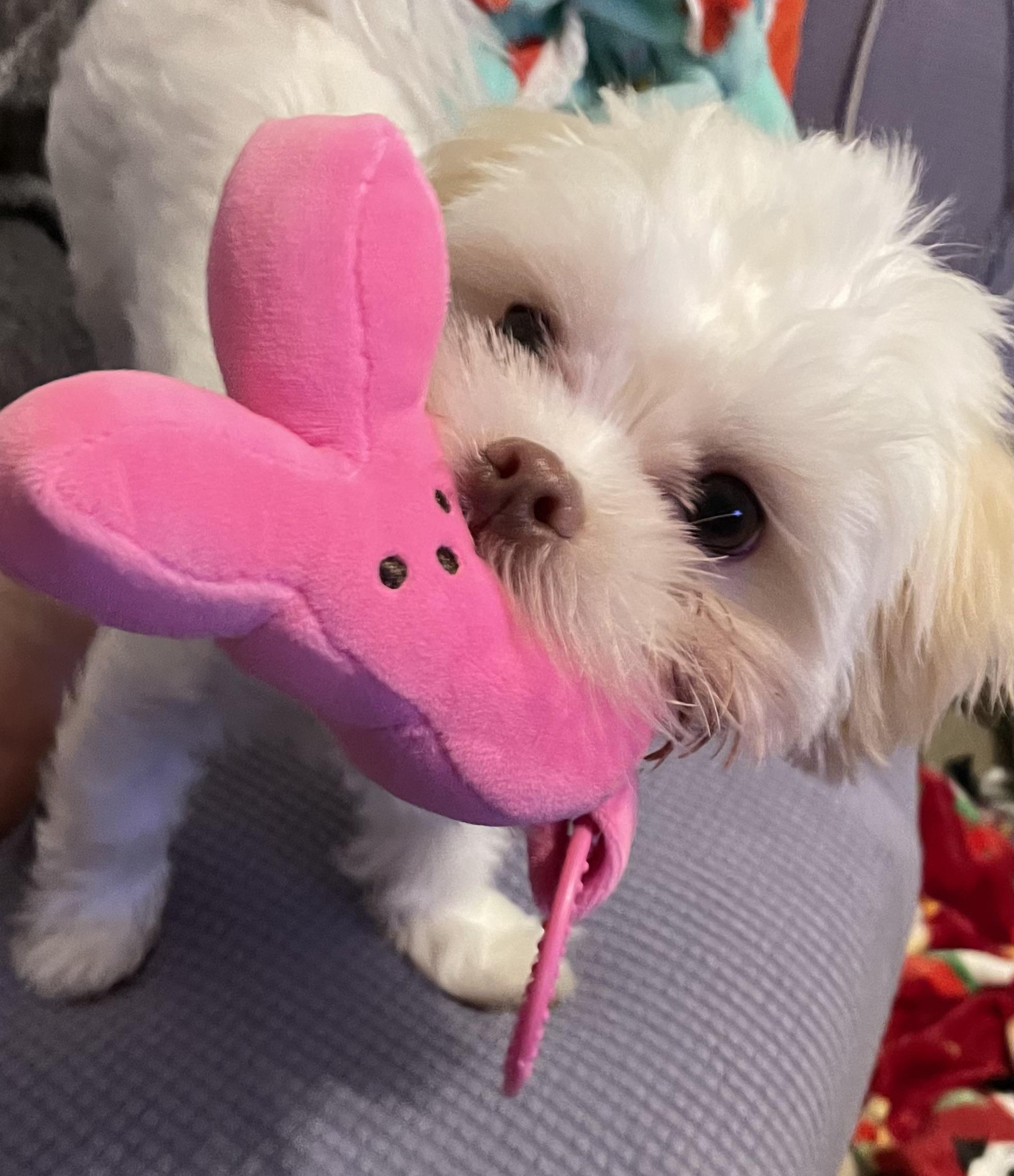 Wednesday night PEEP show | Scrolller