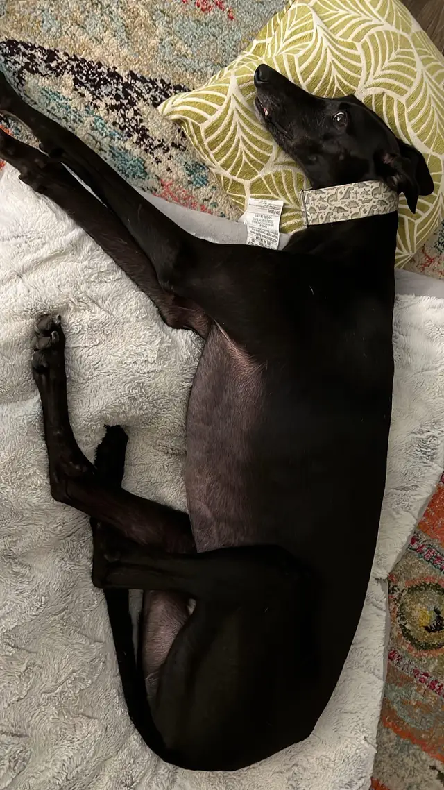 Nosy parents won’t let me sleep | Scrolller