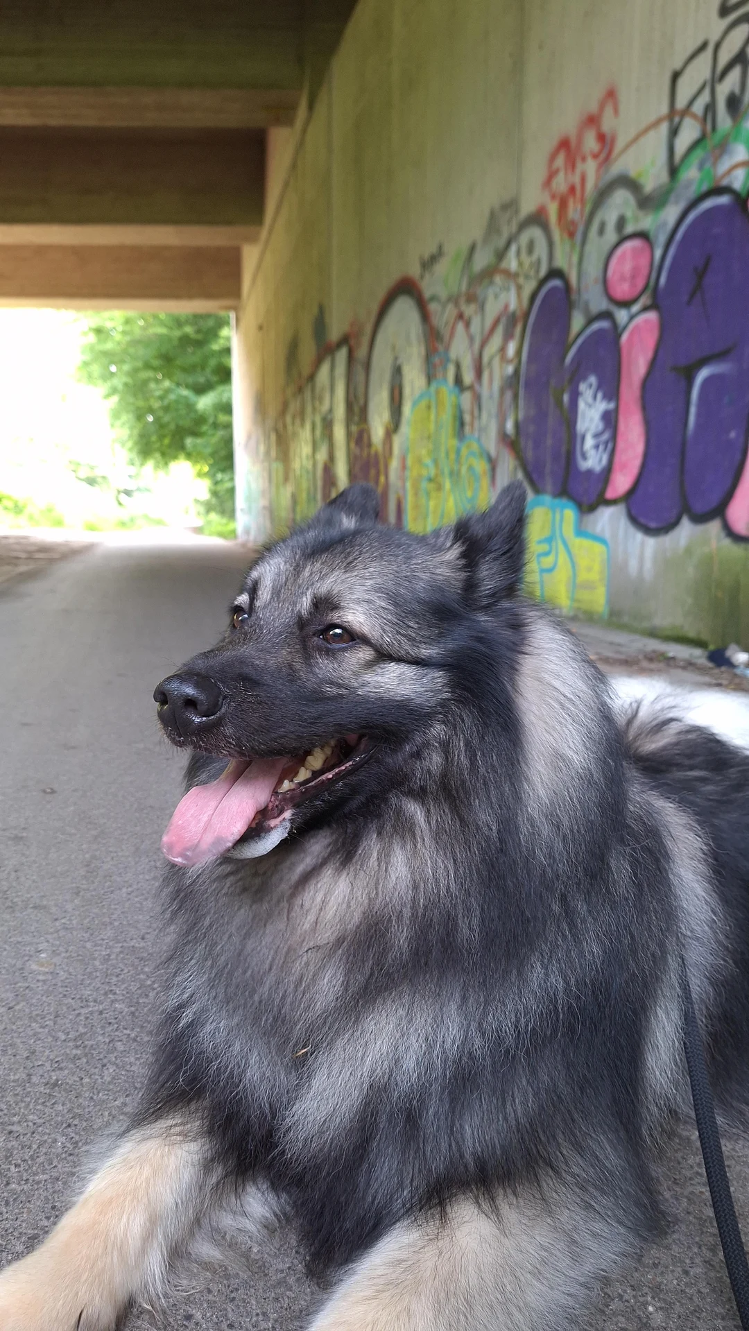 Short break in the shadow | Scrolller