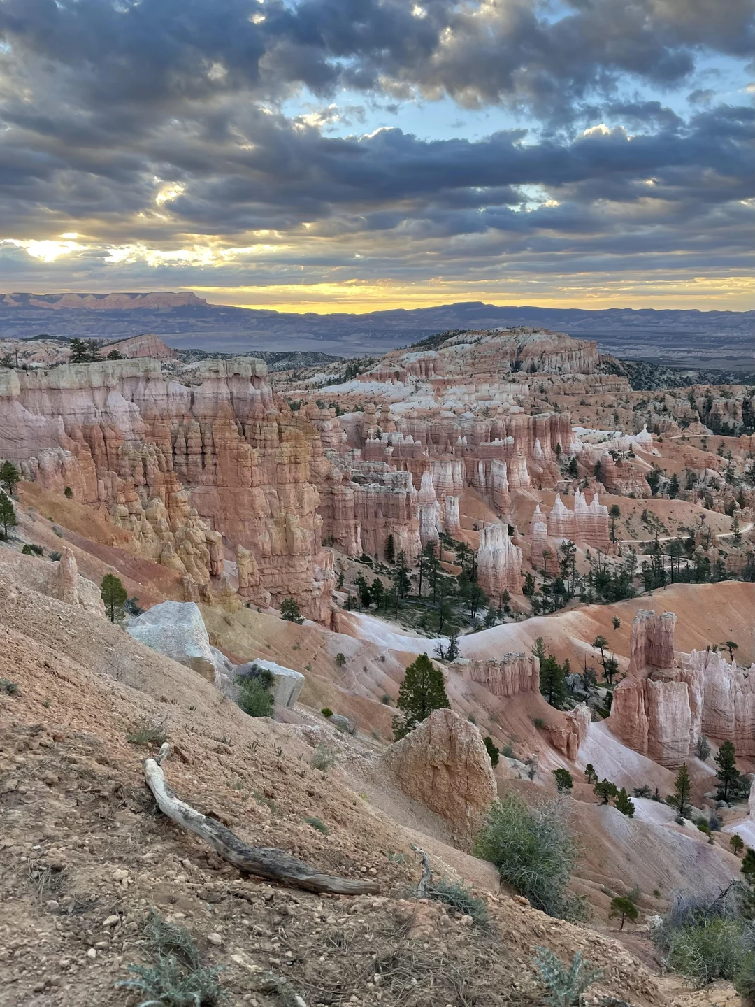Sunrise Point, Bryce Canyon National Park, Utah [OC][2837x3783] | Scrolller