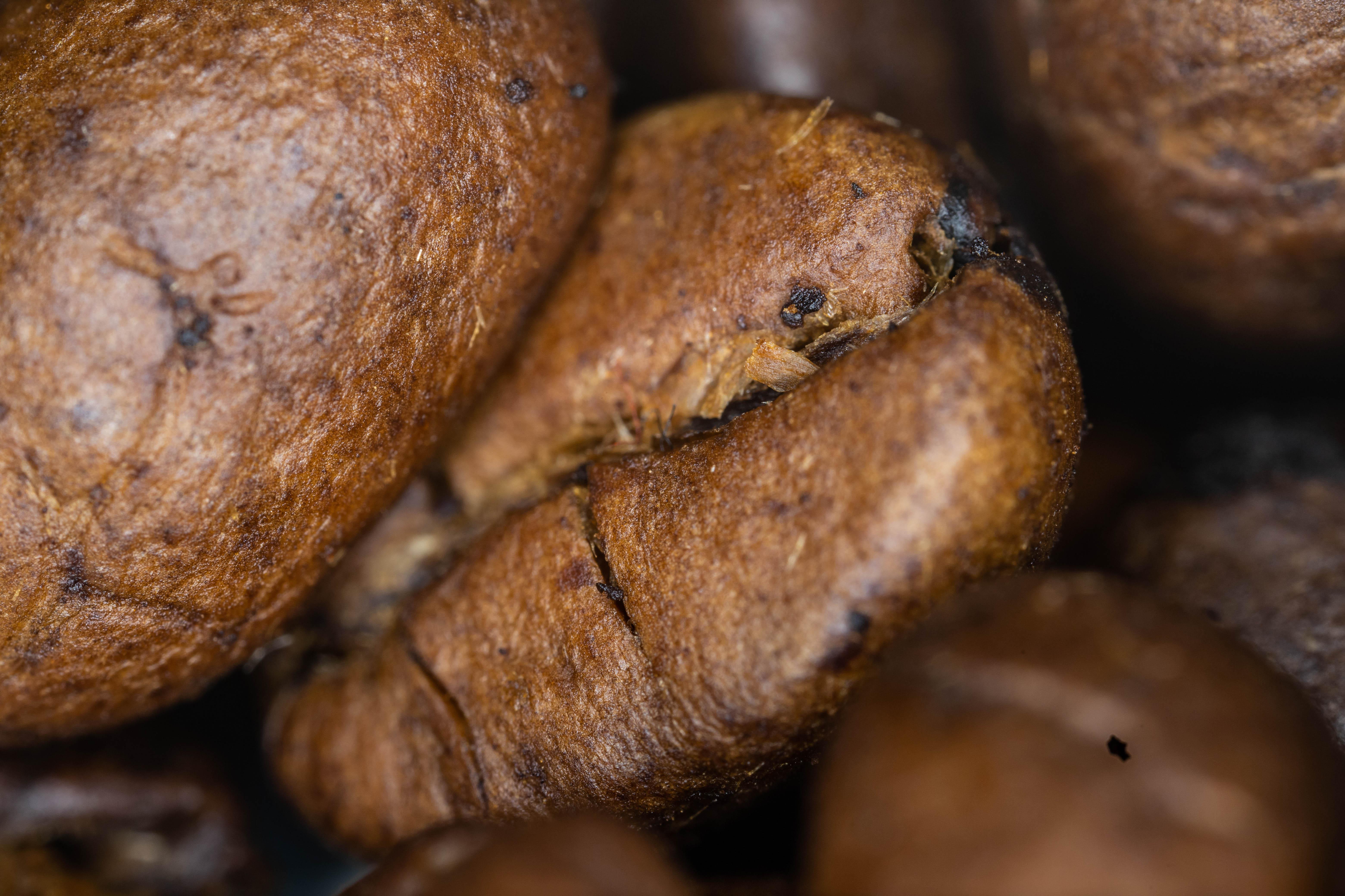 Tried out my macro lens on some coffee beans. | Scrolller