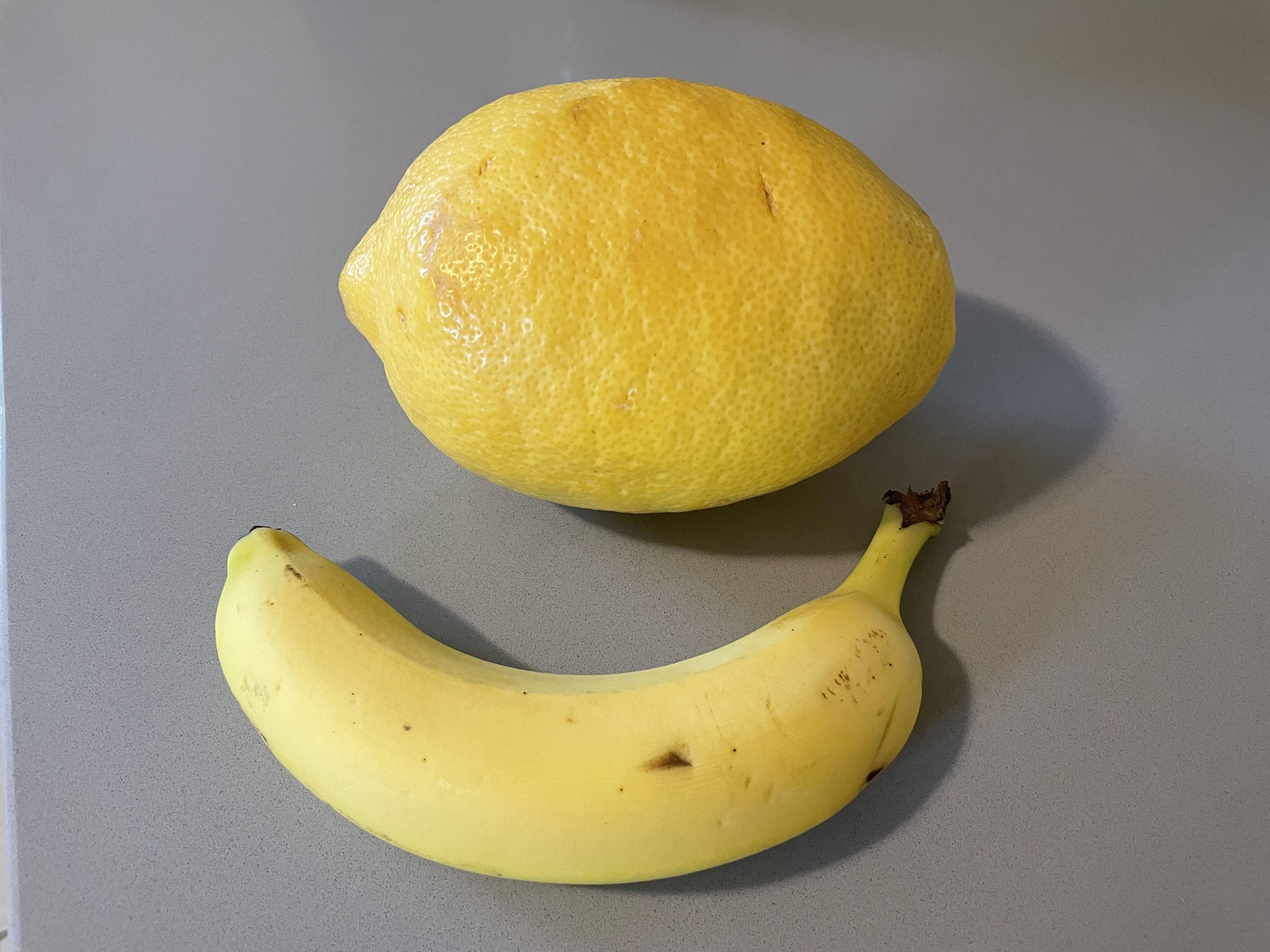 The size of this lemon | Scrolller