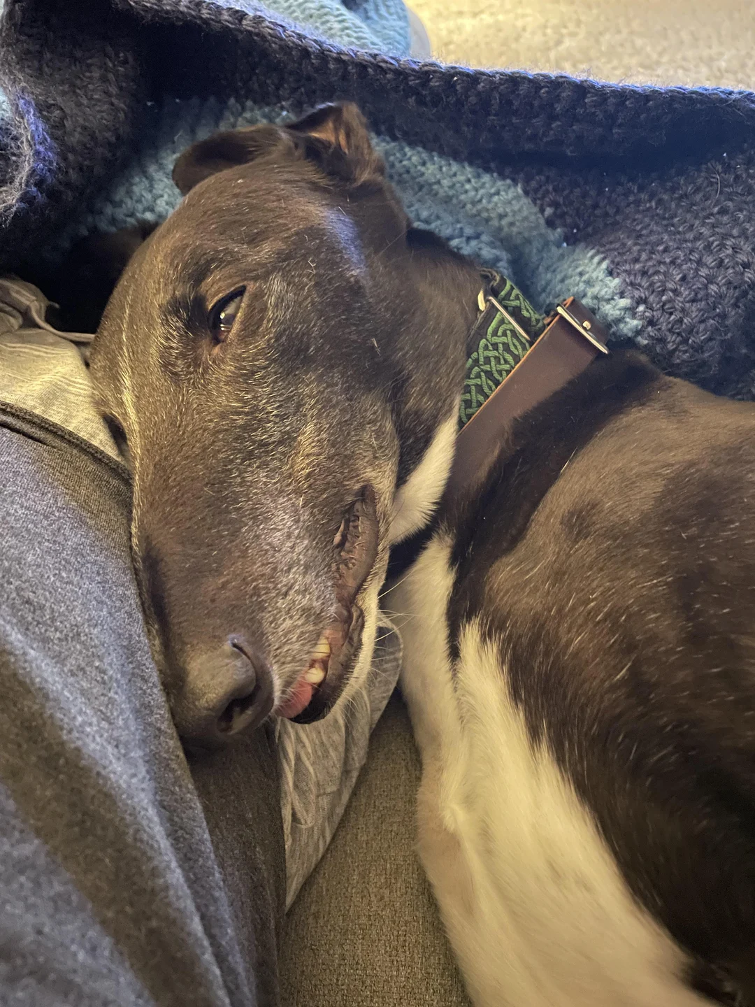 Dead Asleep Scrolller