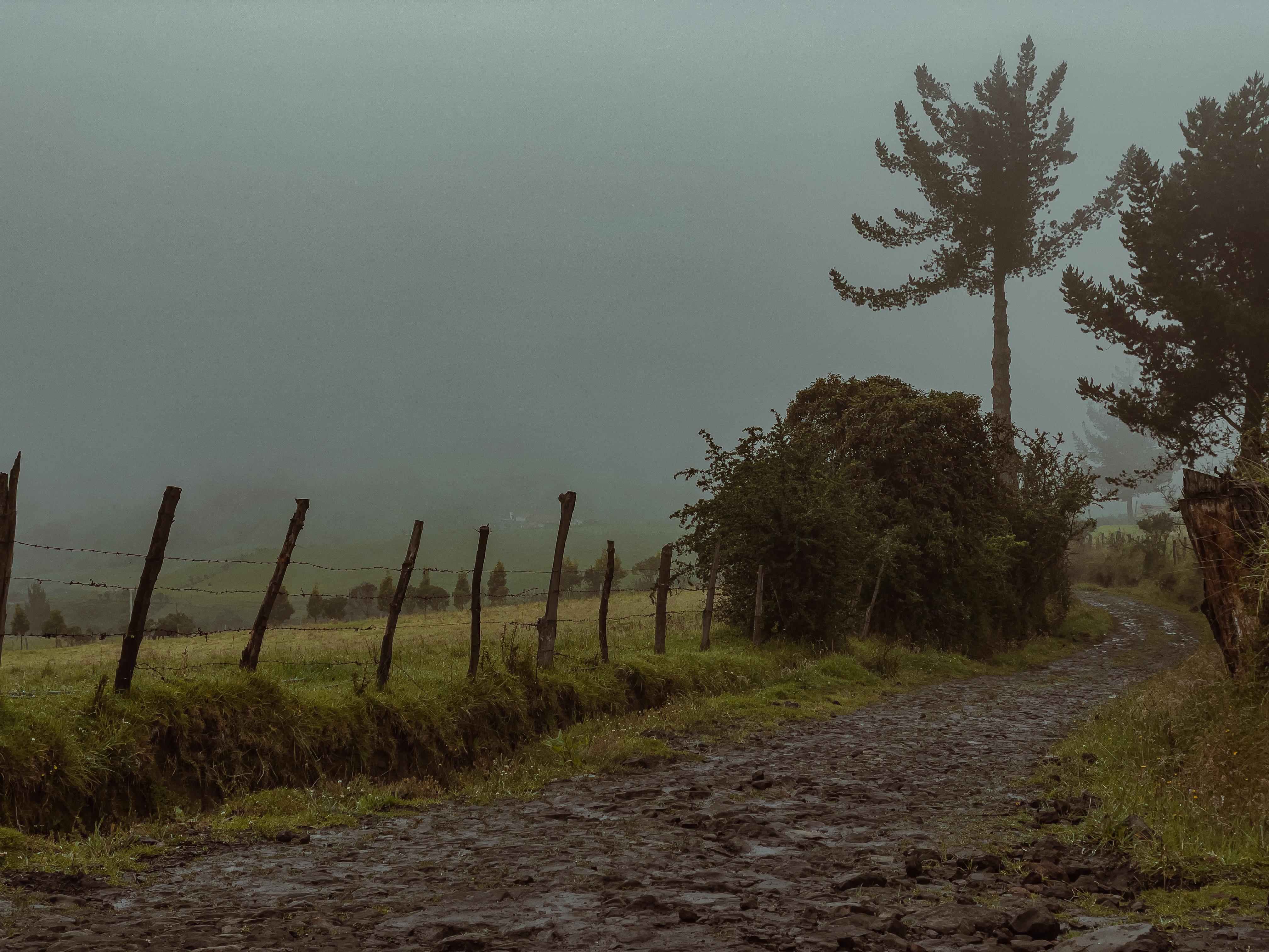 Mountain biking backroads in Ecuador. | Scrolller
