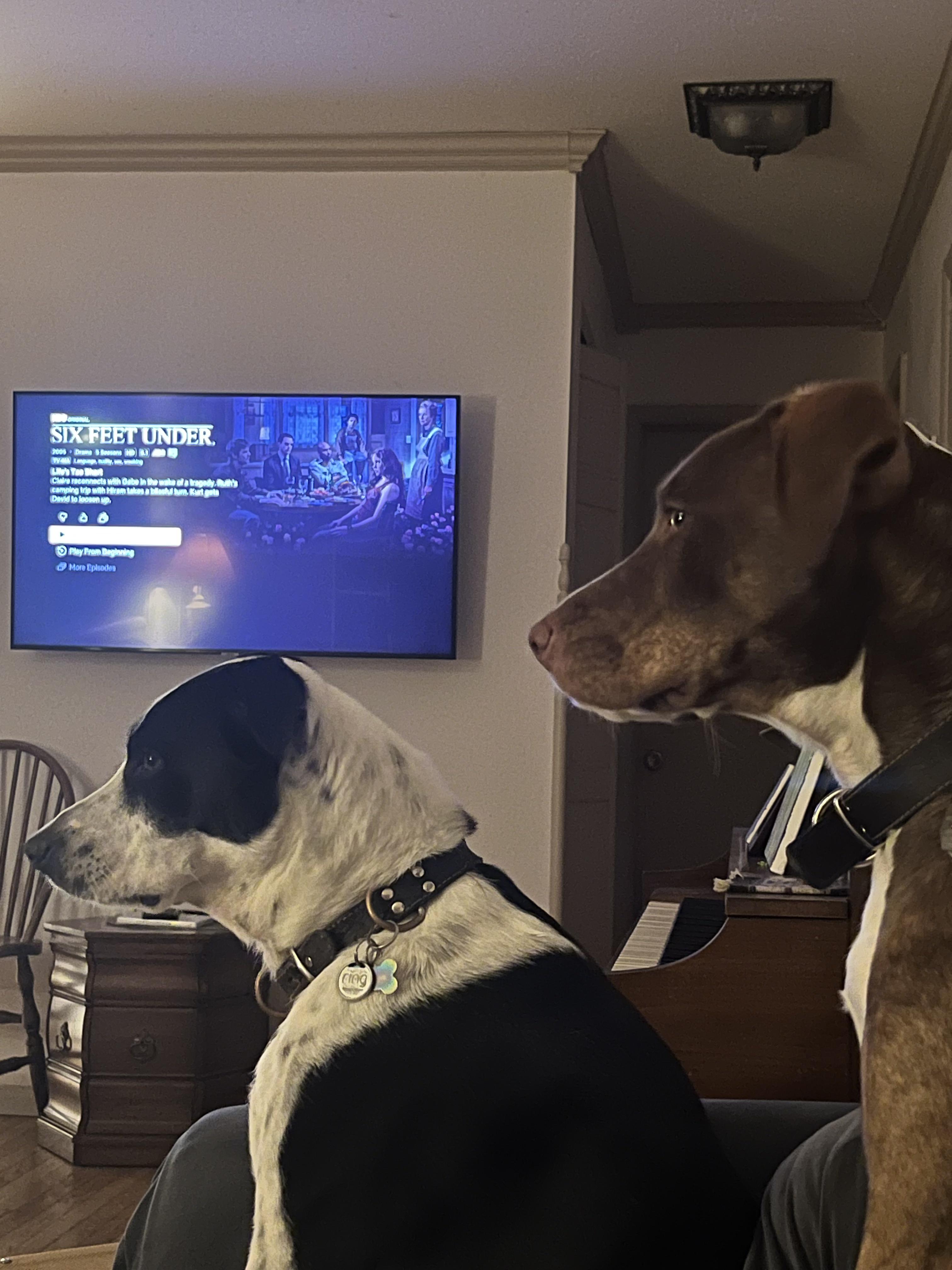 Show your Profiles | Scrolller