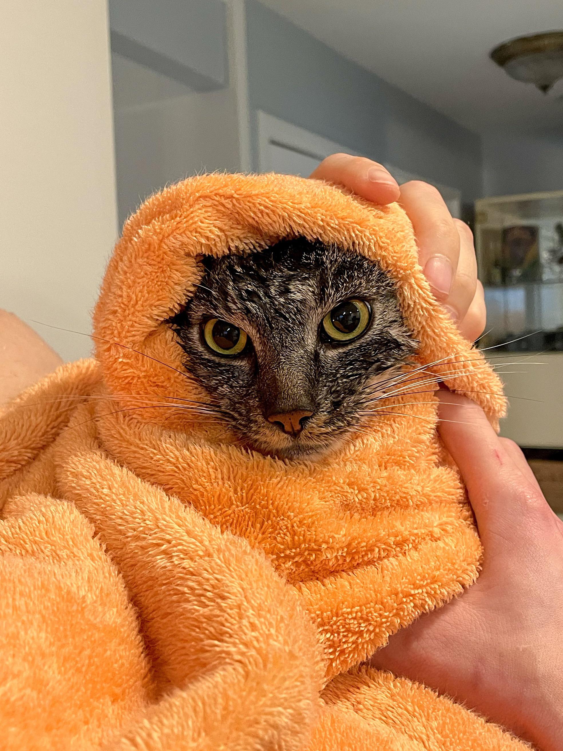 Spring cleaning | Scrolller