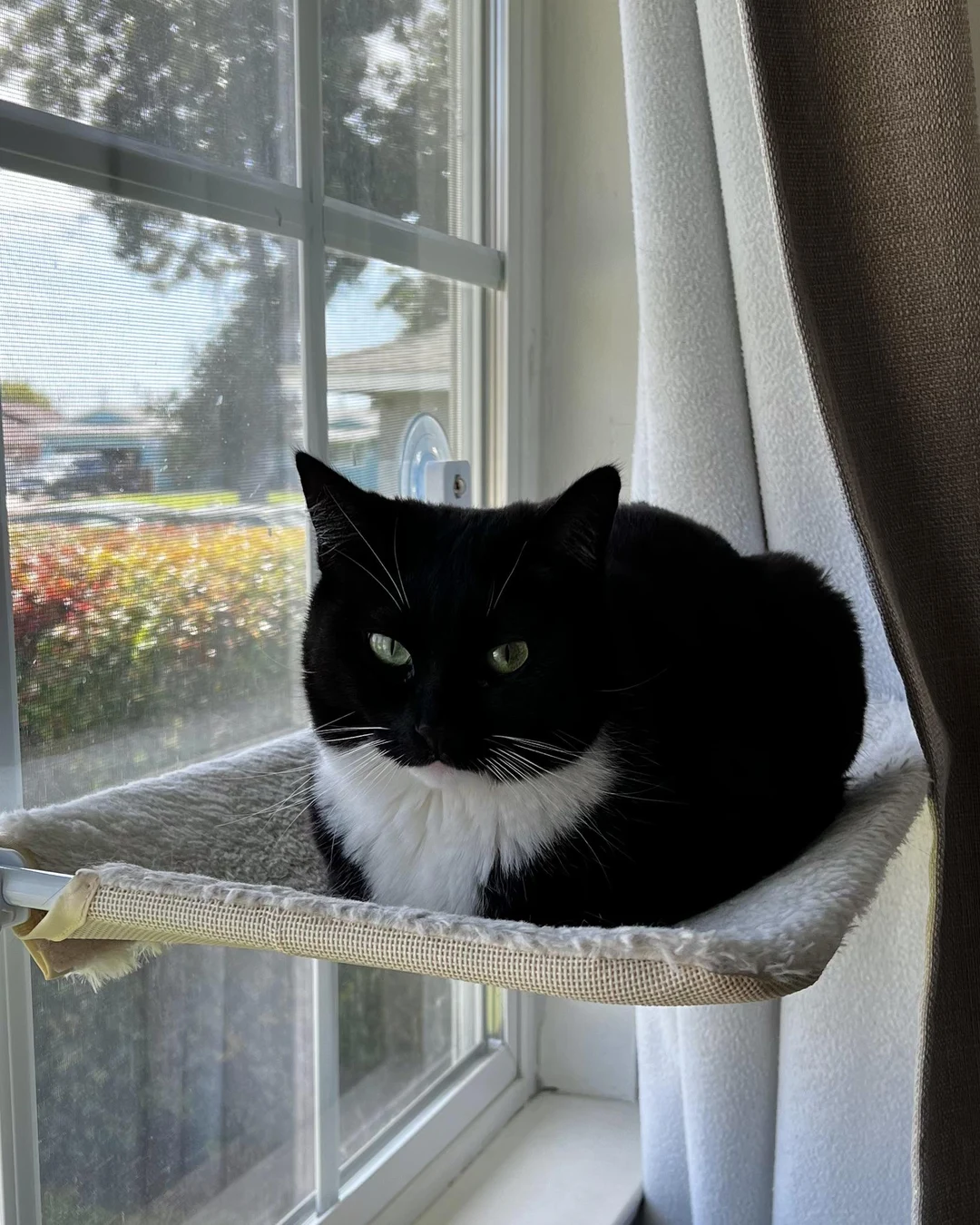Window loaf | Scrolller