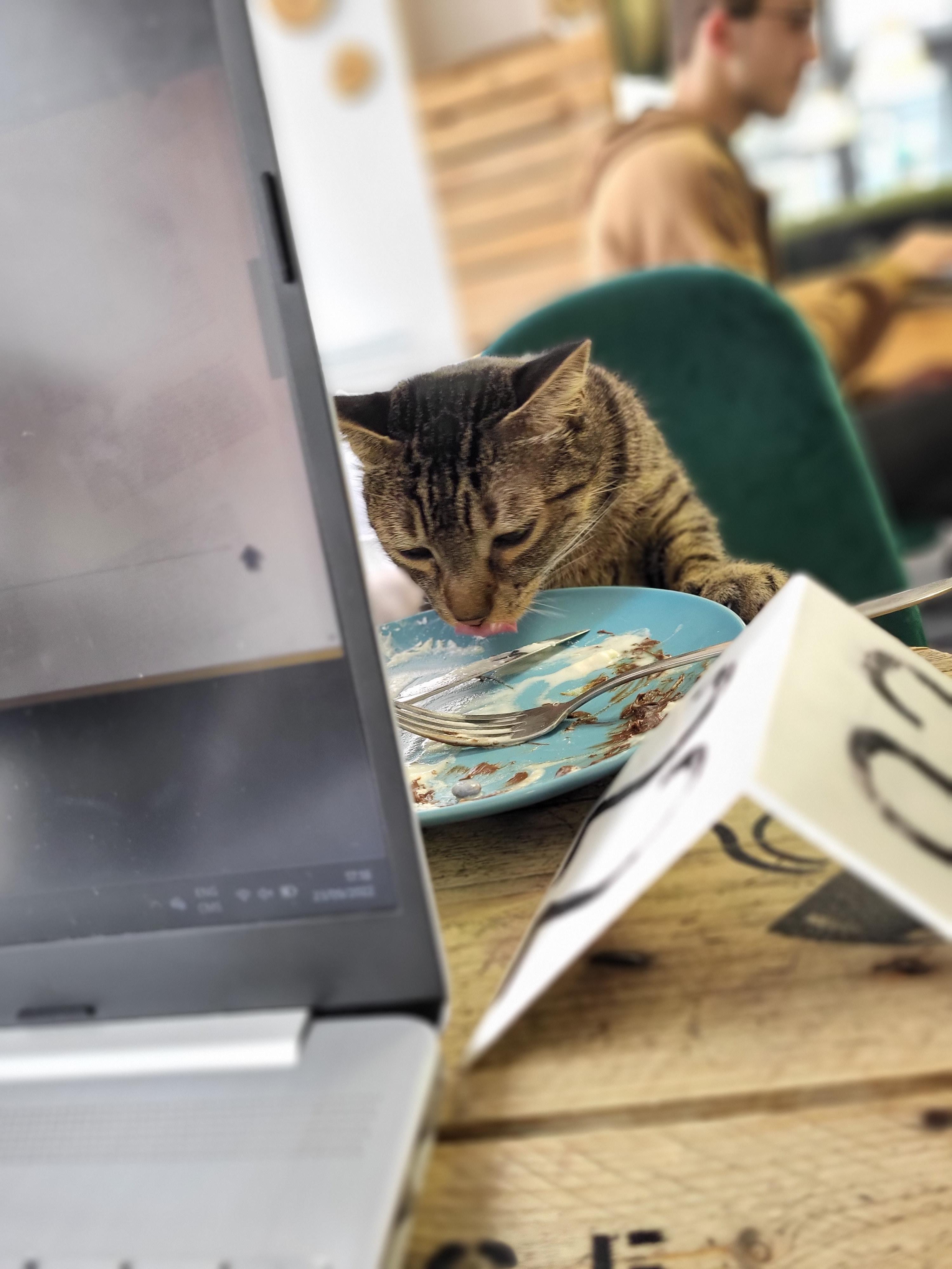 Whipped cream 🍦 | Scrolller