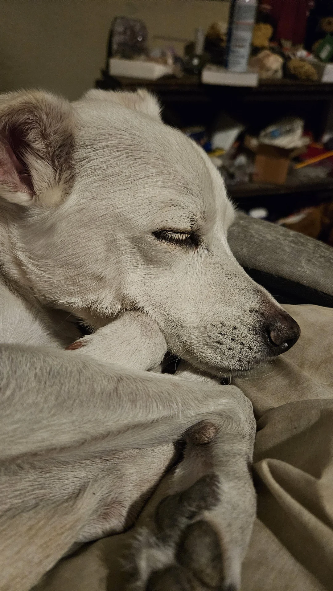 My 9 year old best friend and support. It's so good to see him smile. | Scrolller