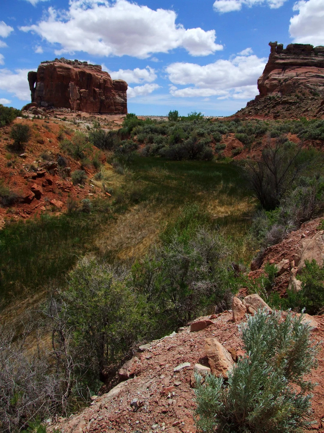 Near Moab, Utah [1866x2488][OC] | Scrolller