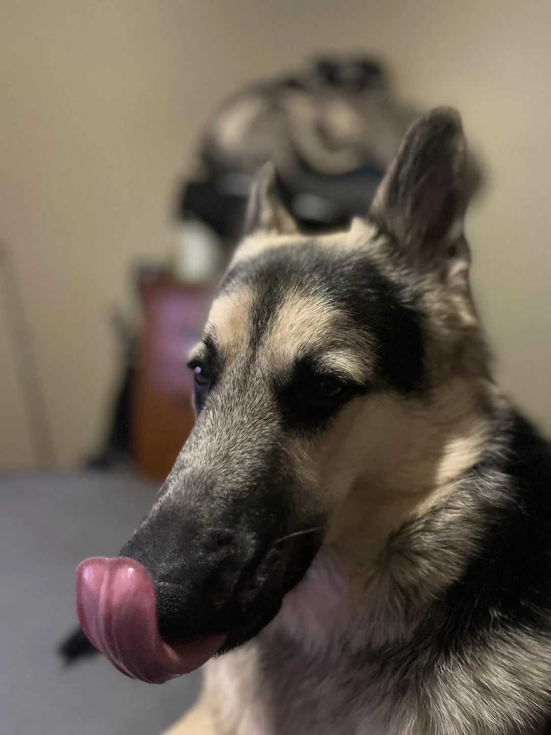 MEGA MLEM | Scrolller