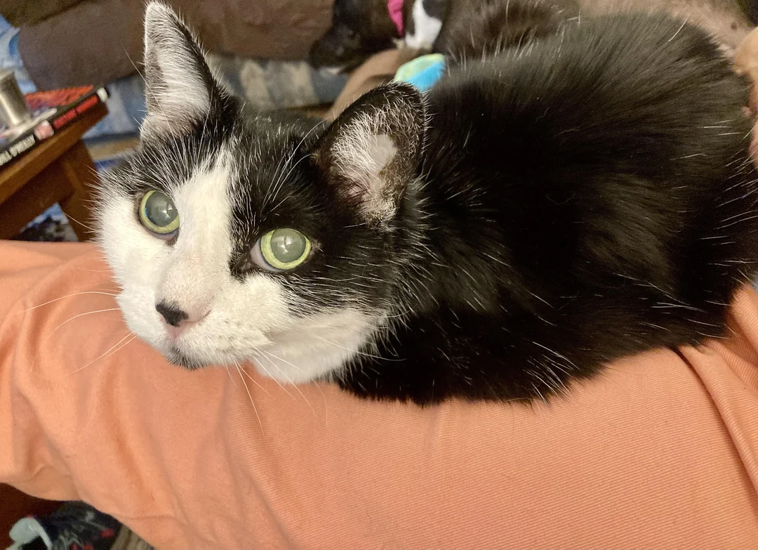 My 16 year old loafing on my mother’s leg | Scrolller