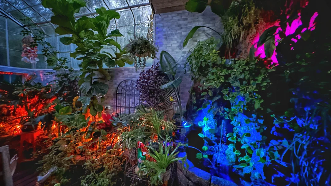I love our greenhouse at night with its pretty lights | Scrolller