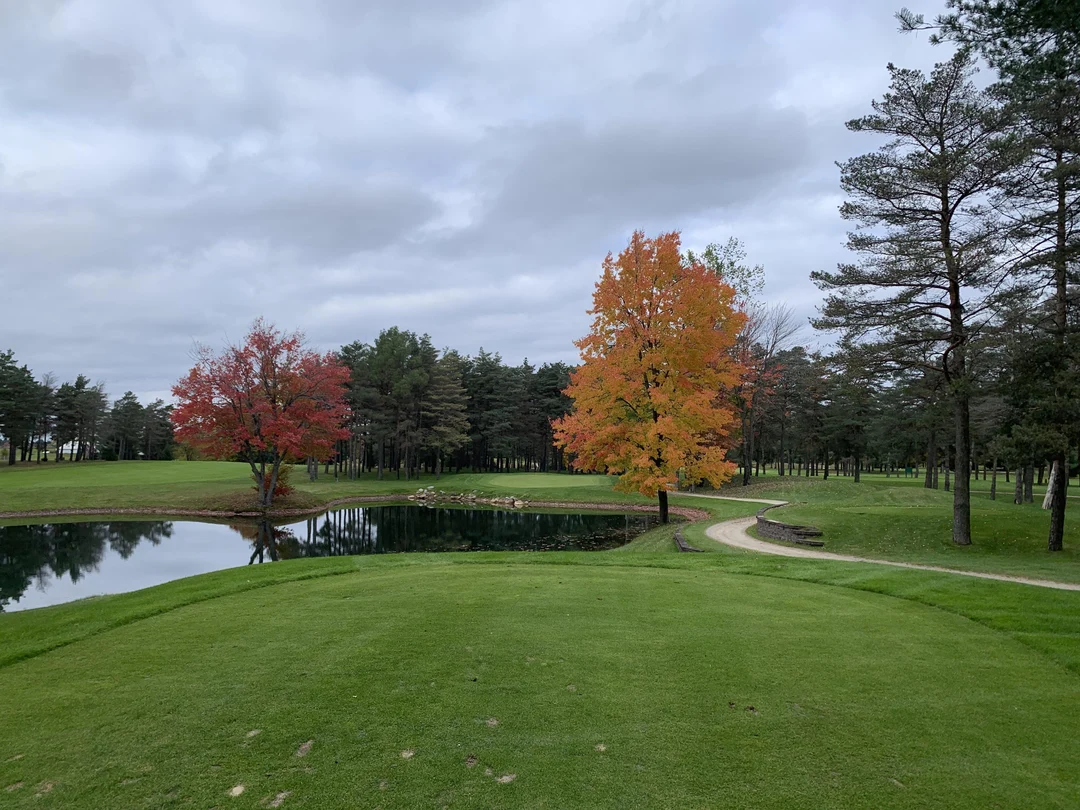 Fall Golf | Scrolller