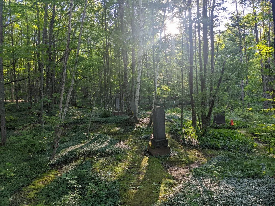 Irish Hollow Cemetery, Upper Peninsula of Michigan | Scrolller