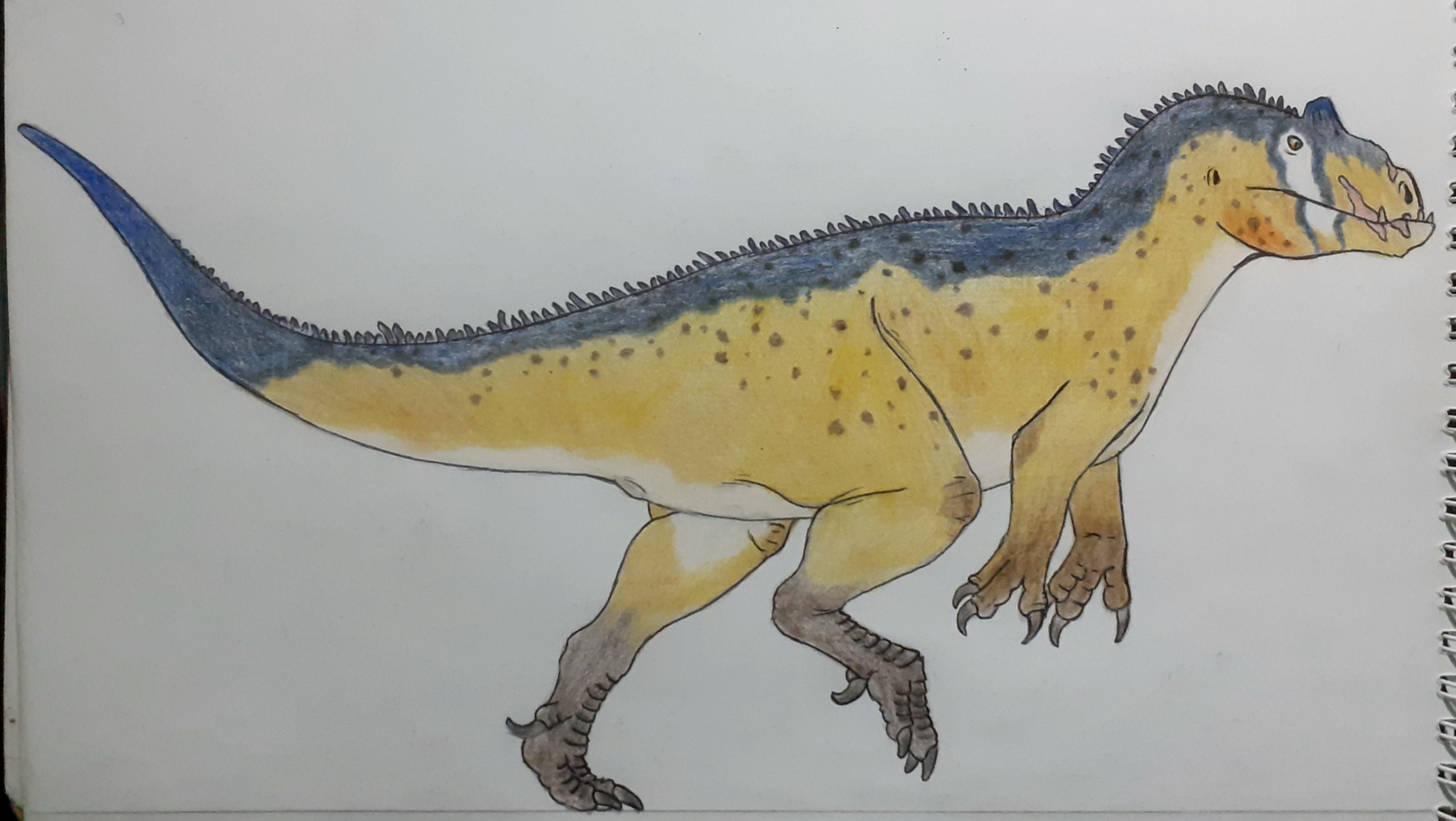 The hardy Broken Jaw Allosaurus! | Scrolller