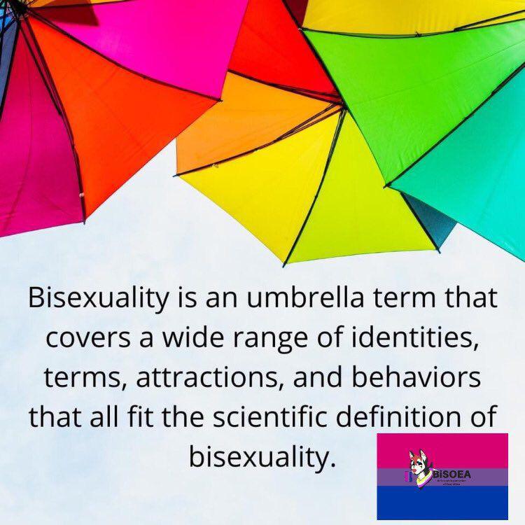 Discover more like Bisexual: True and Related Content | Scrolller