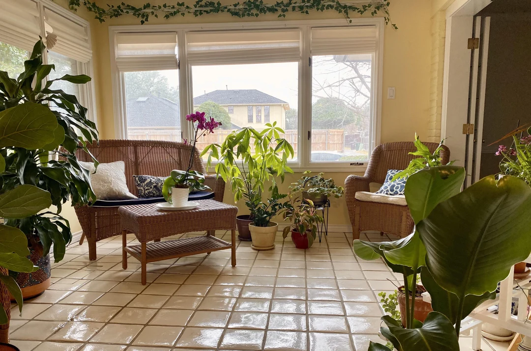Cozy Sunroom with Plants | Scrolller