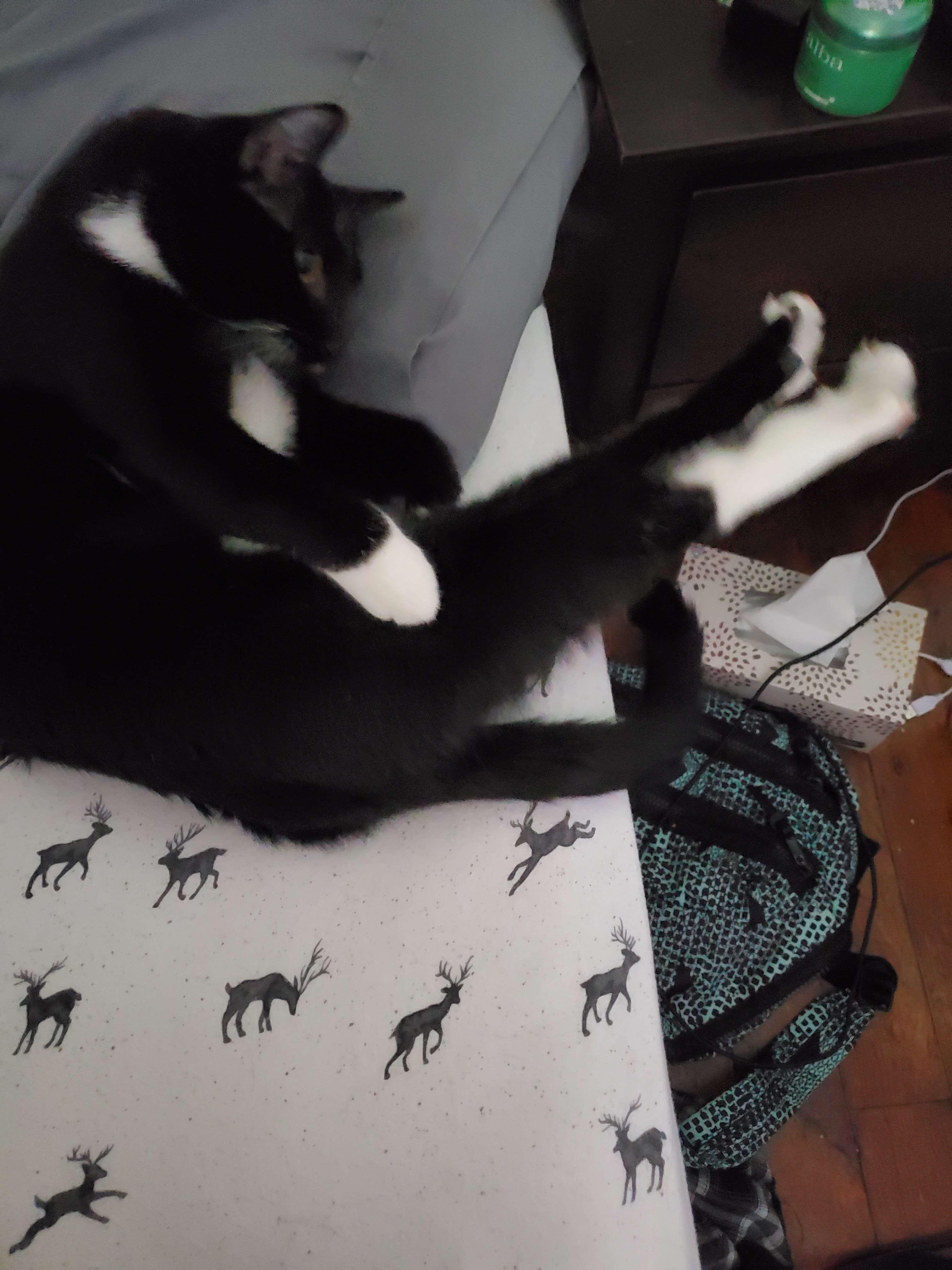 Stretchy feets!!! | Scrolller