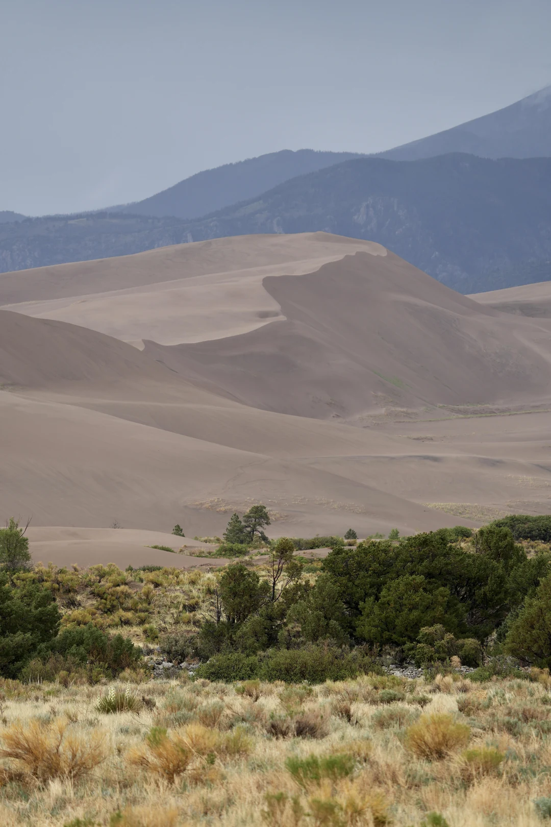 Great Sand Dunes National Park, Colorado [OC] [4672x7008] | Scrolller