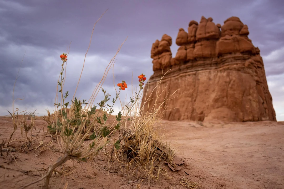 Goblin Valley State Park, Utah [OC] [2048x1365] | Scrolller