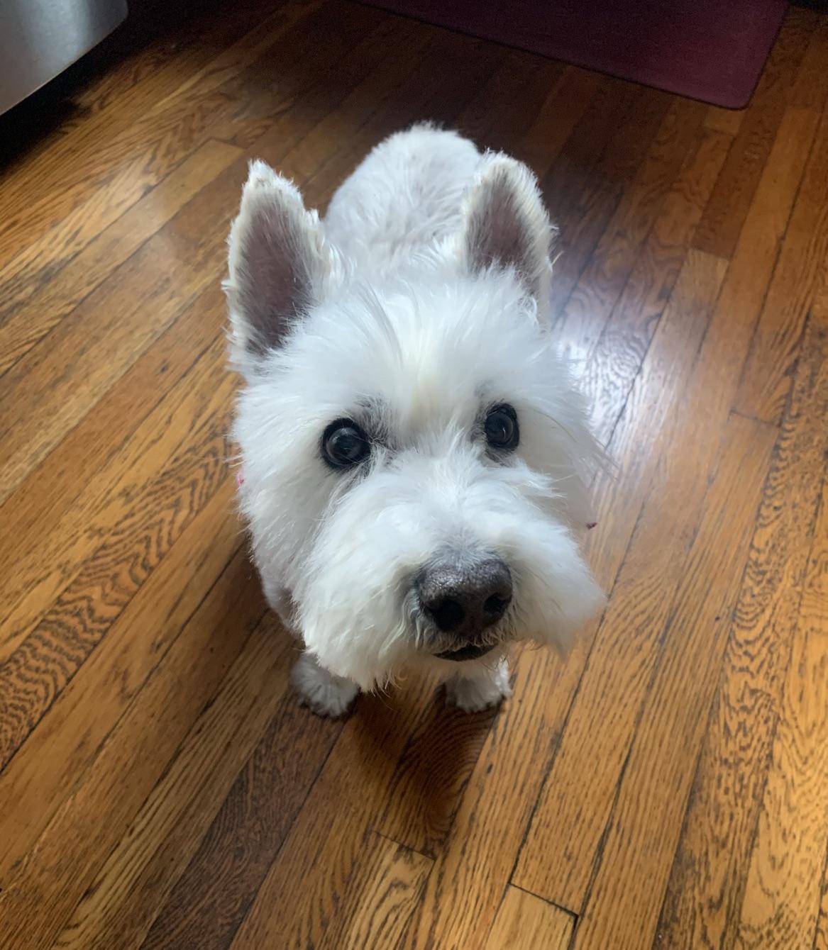 Mr. Sam! | Scrolller