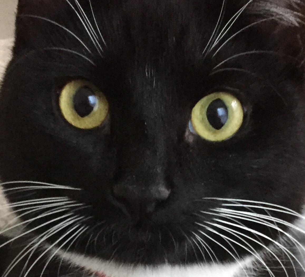 Just remember…. | Scrolller