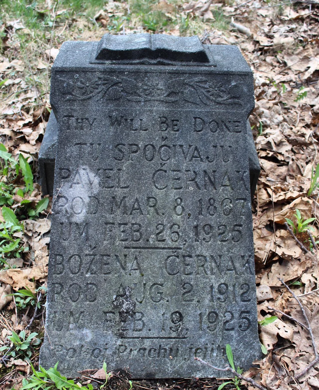 Graff Cemetery, Cairnbrook, Pennsylvania. | Scrolller