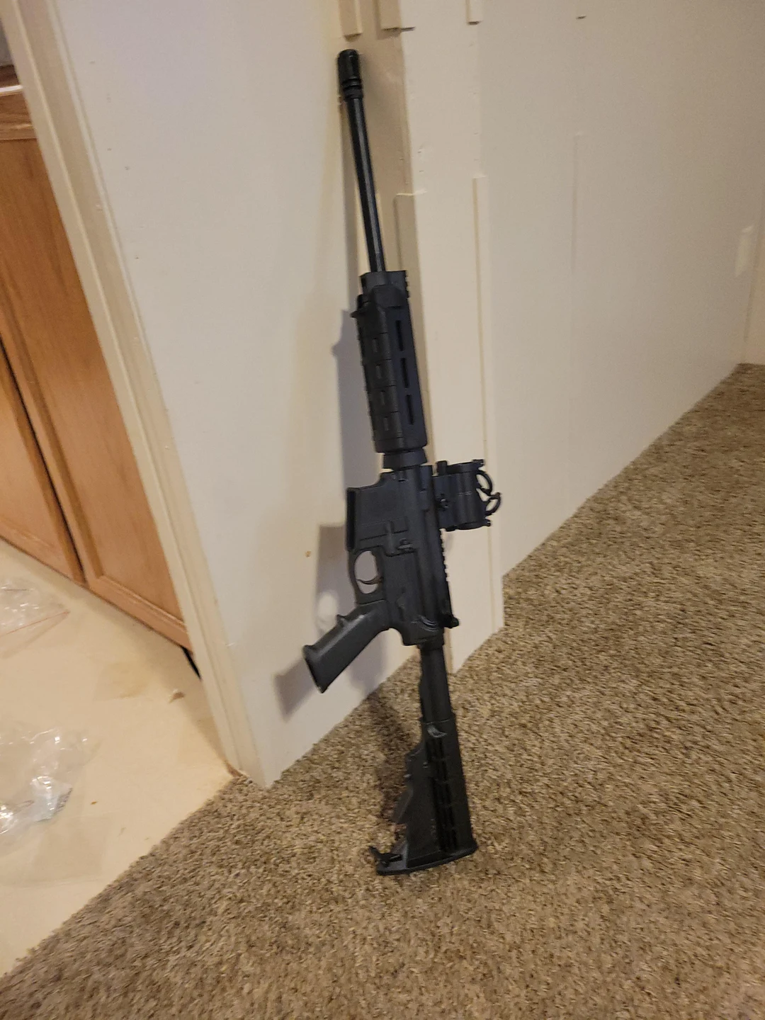 Just put a new optic on my AR | Scrolller