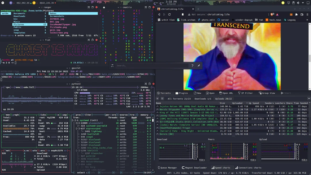 [Plasma 5.24] Schizo Rice | Scrolller