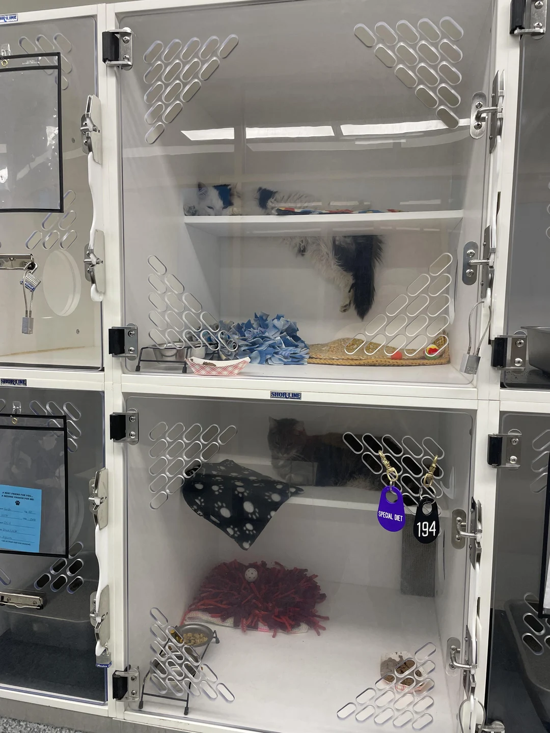 At the shelter today. We’ve got one loaf and one full lounge | Scrolller