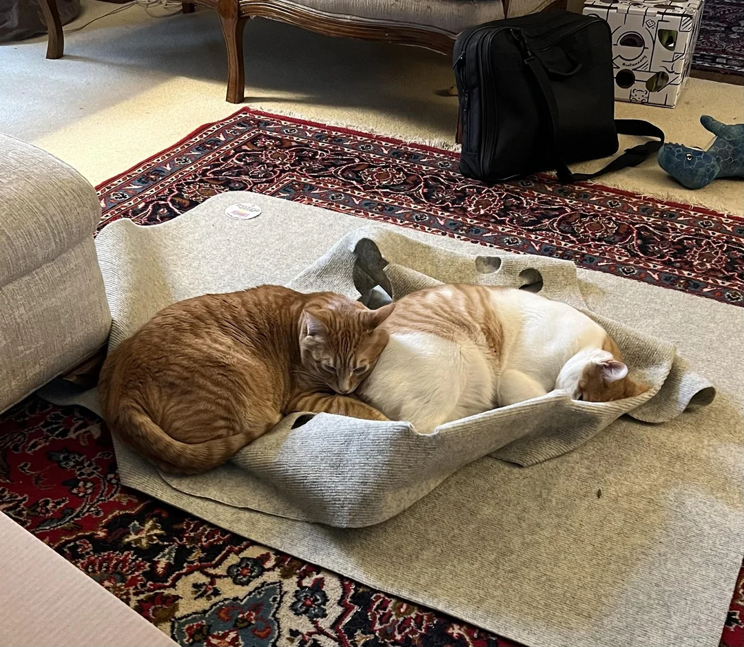 After Two Years... Nothing's Changed | Scrolller