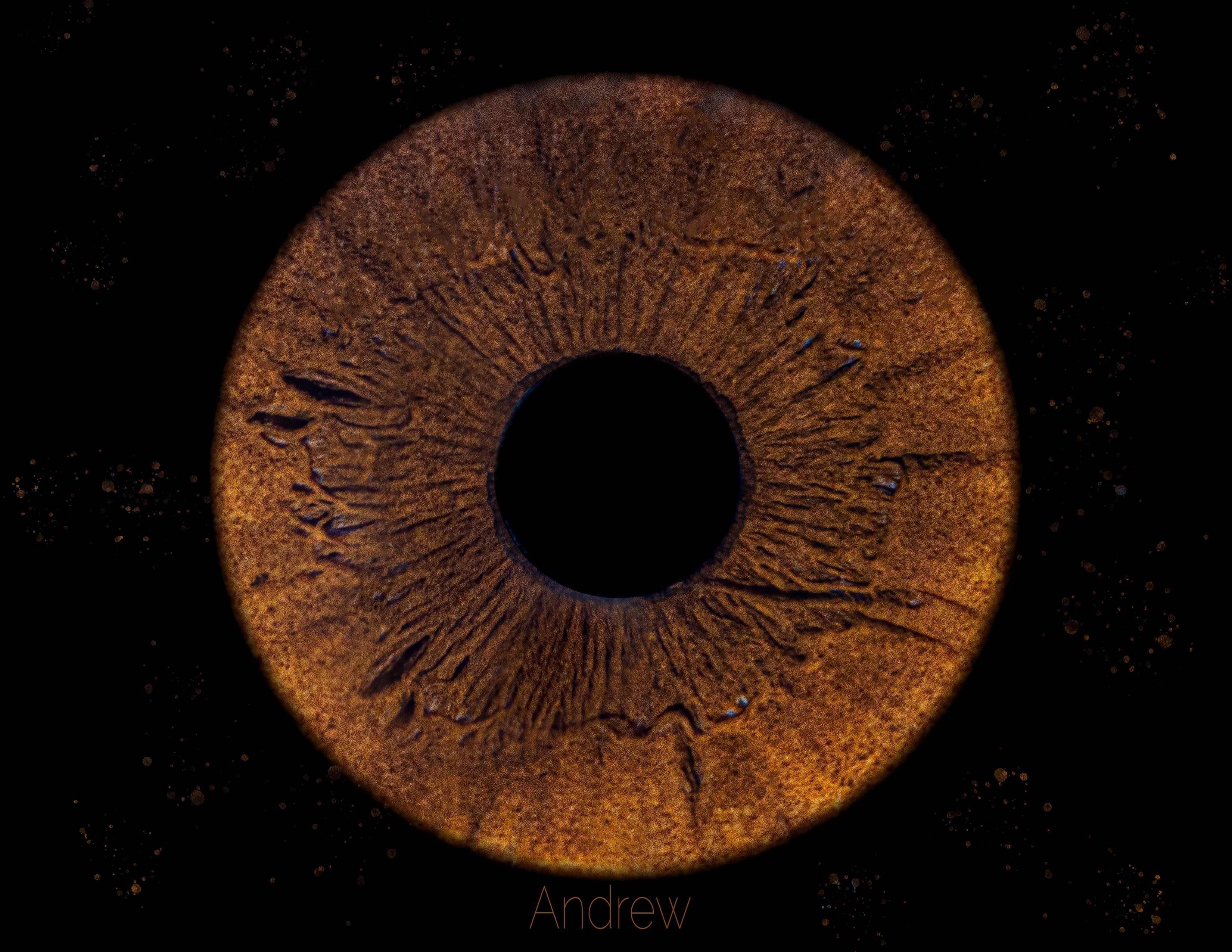 What are the little bluish white dots? | Scrolller