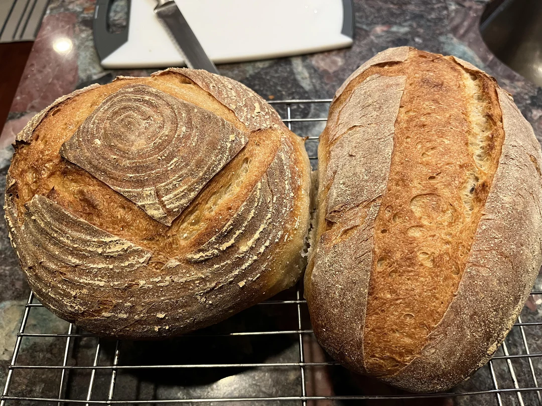 Sourdough Loaves | Scrolller