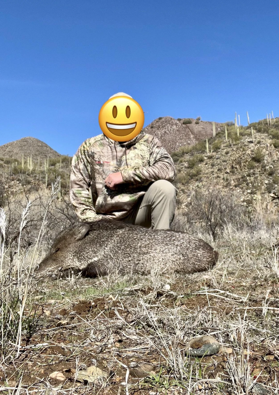 AZ HAM Javelina success | Scrolller