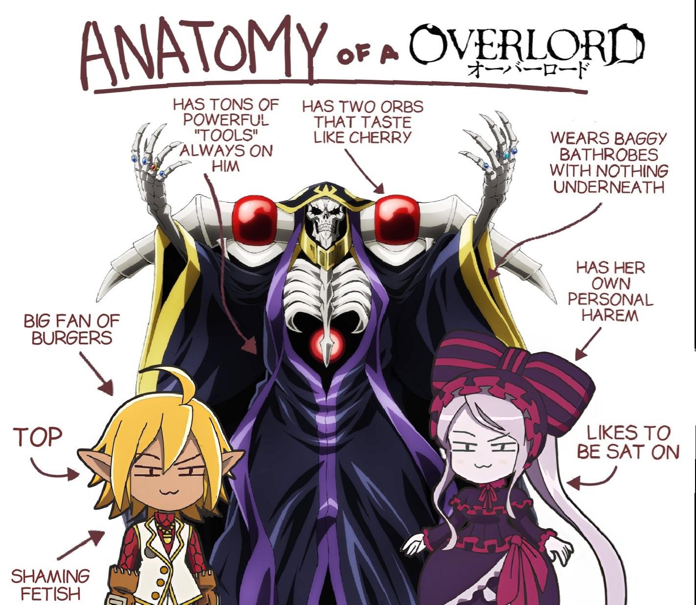 "Anatomy of a Overlord." | Scrolller