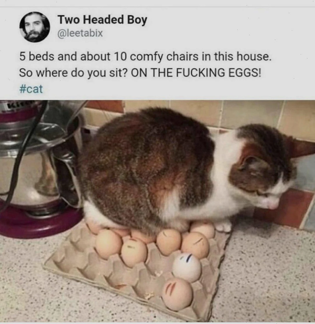 Science experiment for content | Scrolller