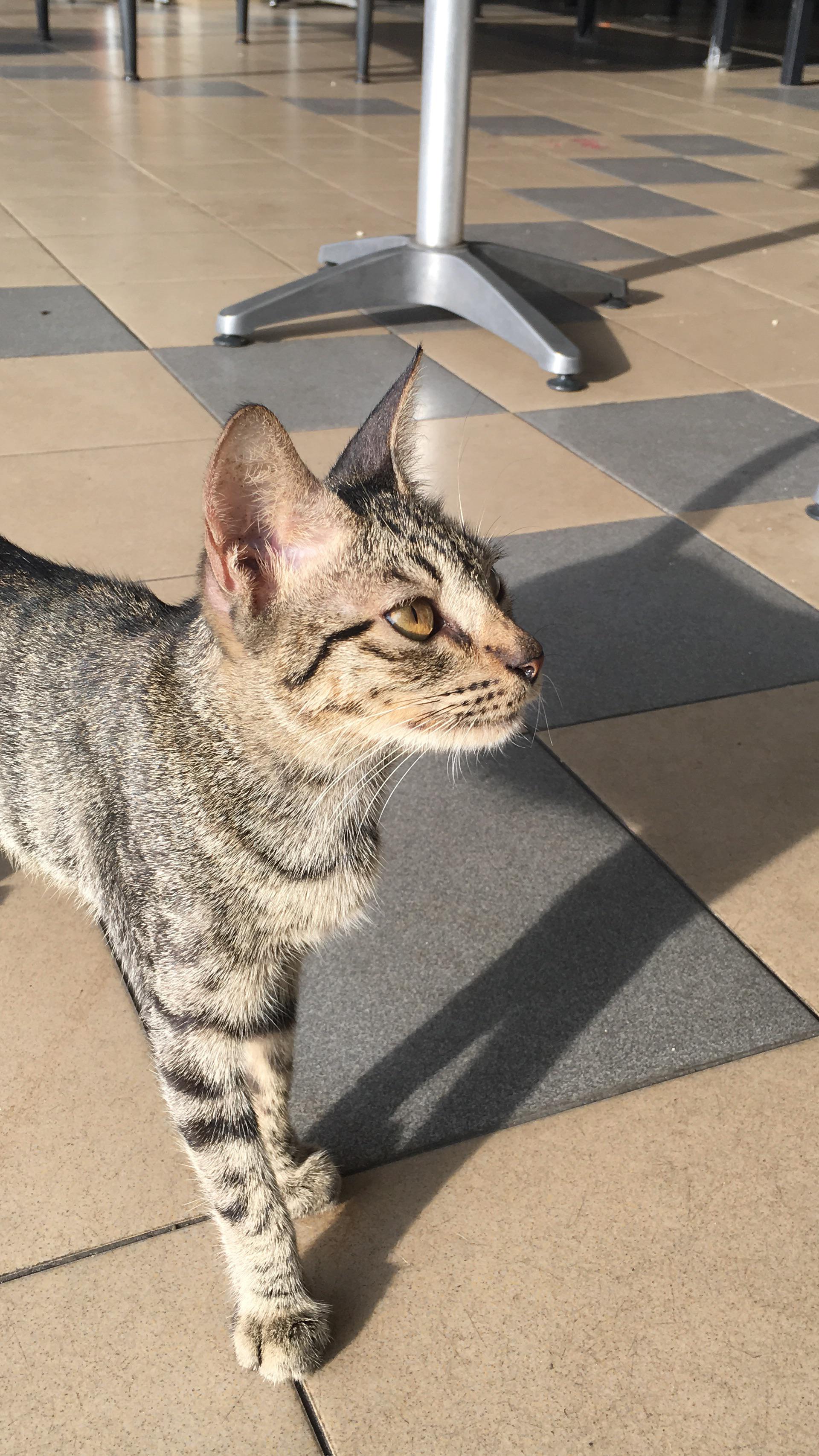 Supermodel | Scrolller